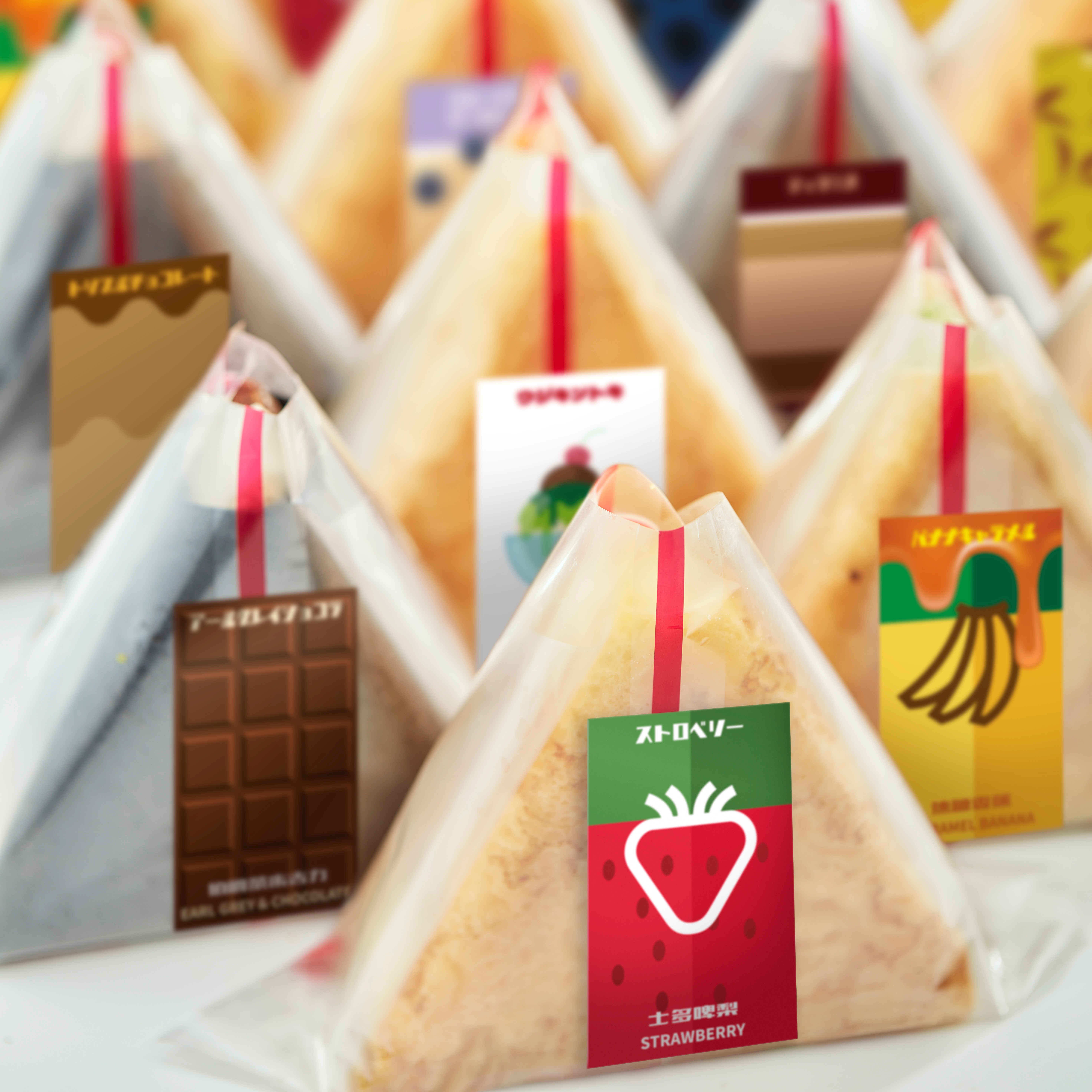 關於我們 About Us - SARASEI