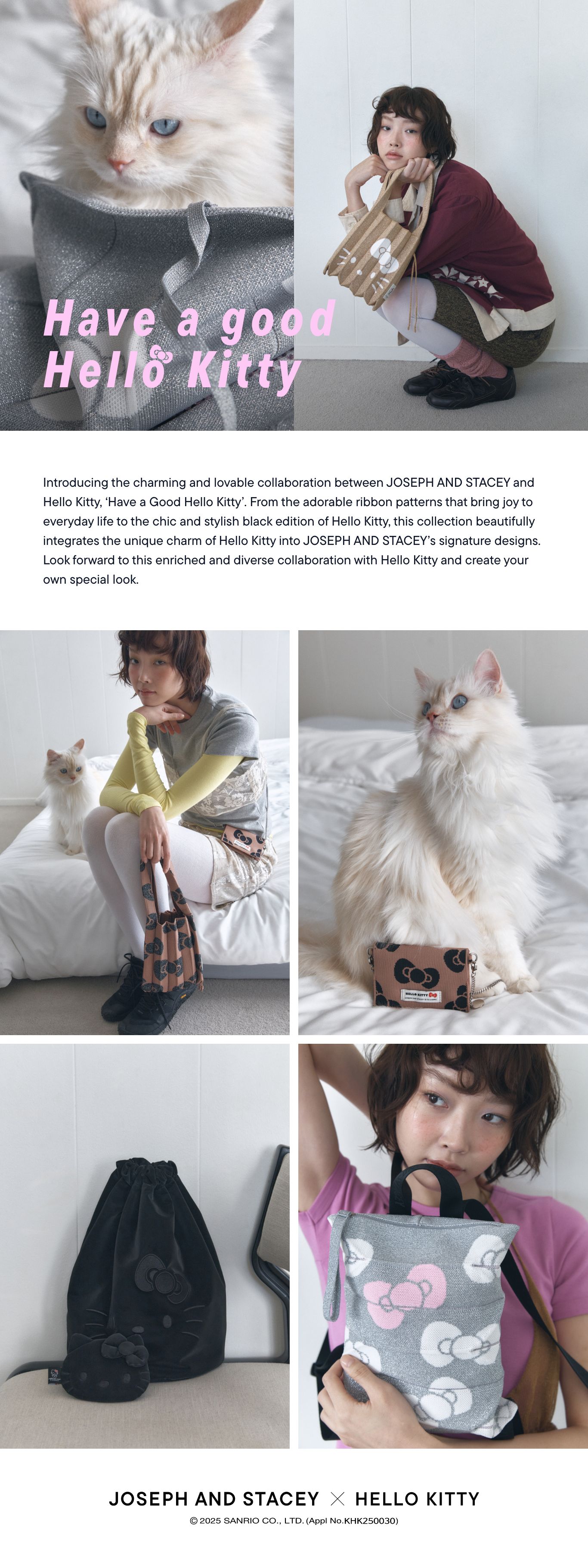 [預購]韓國Joseph & Steacy x Sanrio 三麗鷗聯名 Slick Travel Wallet Hello Kitty ...