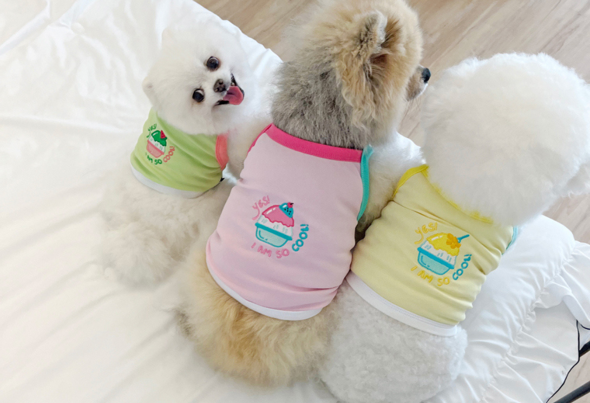 OOPET 韓國寵物選品店