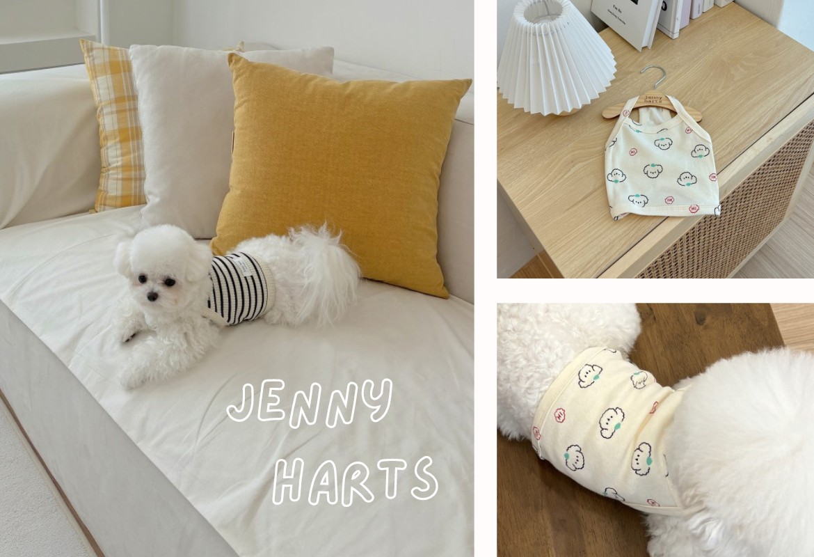 OOPET 韓國寵物選品店