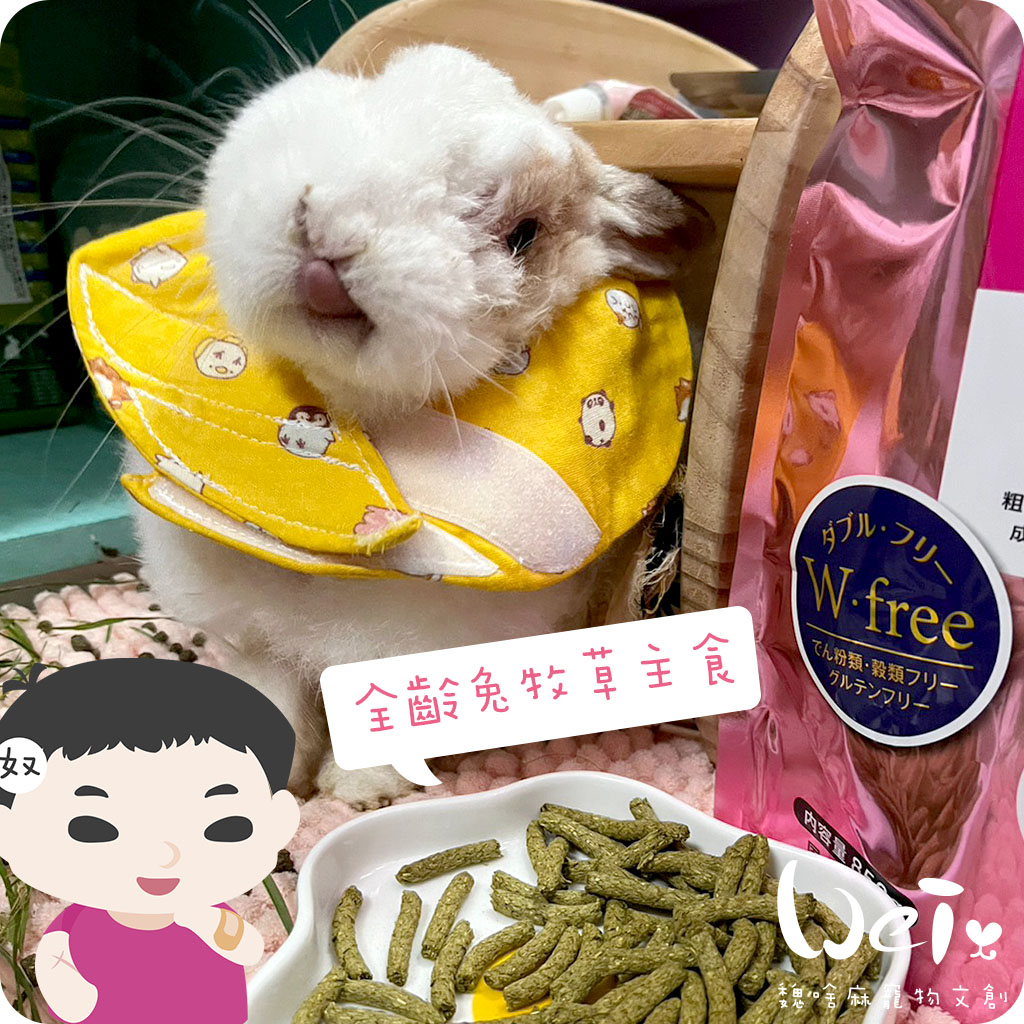 日本HI-PET 粉極全齡兔牧草主食飼料(KIWAMI 極) | 日本 HI-PET (惠/極) | 品牌商品 - 魏啥麻寵物文創