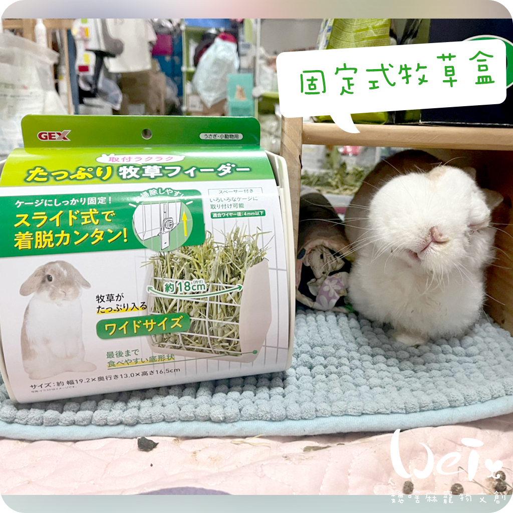 日本 Gex | 品牌商品 - 魏啥麻寵物文創