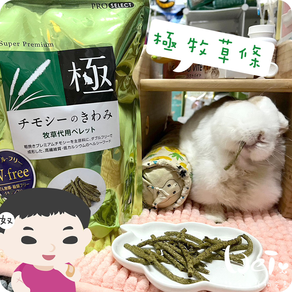 日本 HI-PET 綠極牧草條 (KIWAMI 極) | 日本 HI-PET (惠/極) | 品牌商品 - 魏啥麻寵物文創