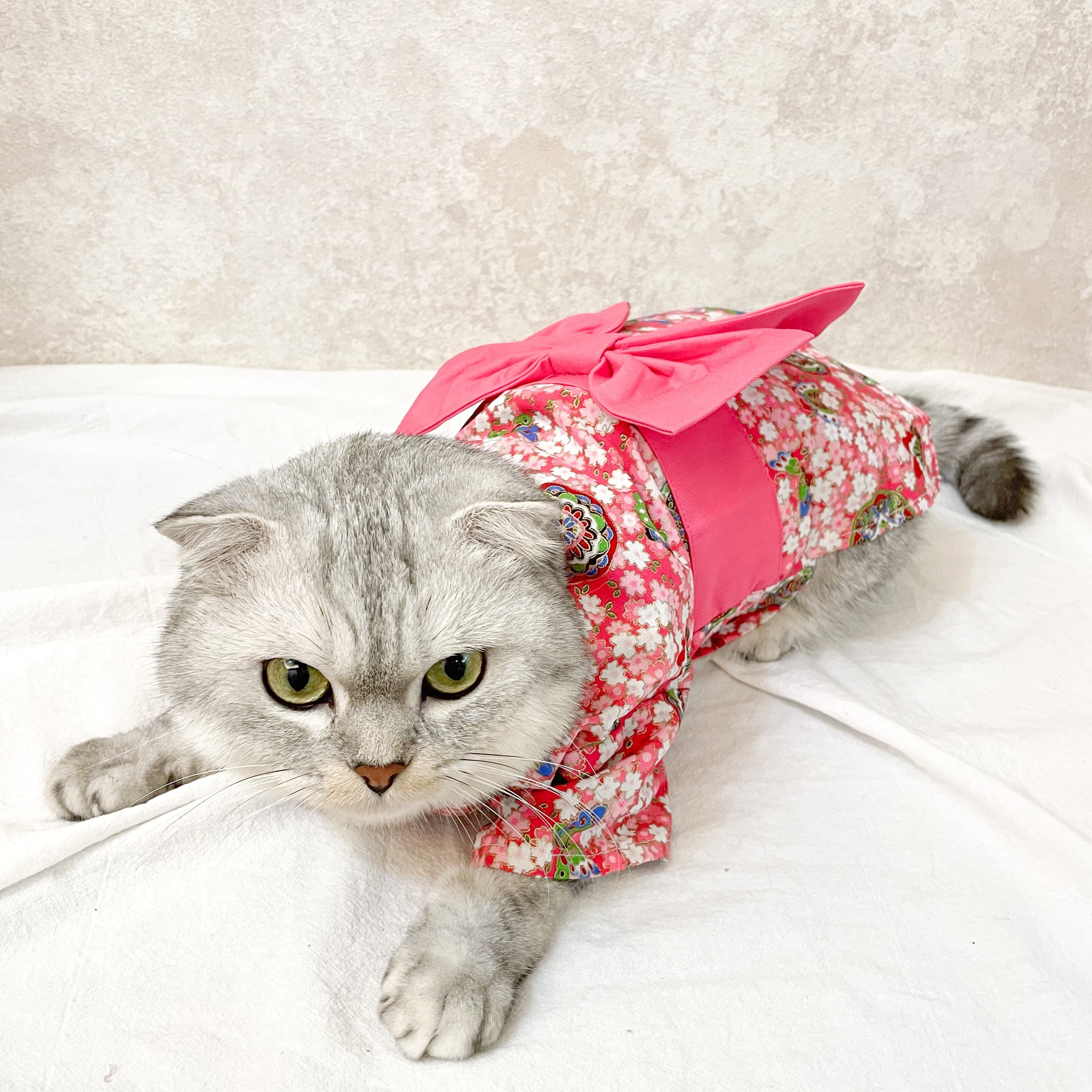 PETACULAR日本櫻花和服 | 所有商品 - 窩木WOMU 寵物選品